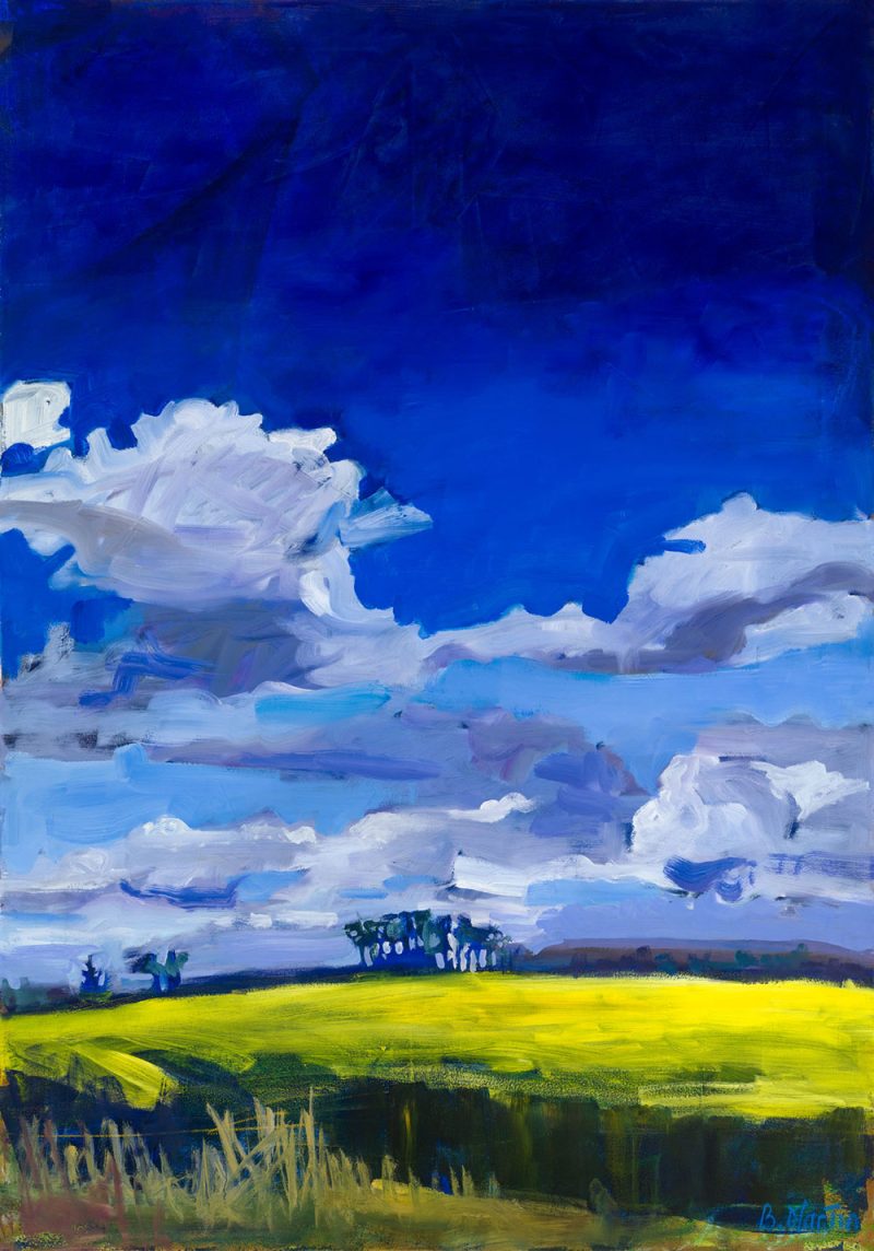 Yellow Fields In The Borders Oil On Canvas Sold Brenda Martin